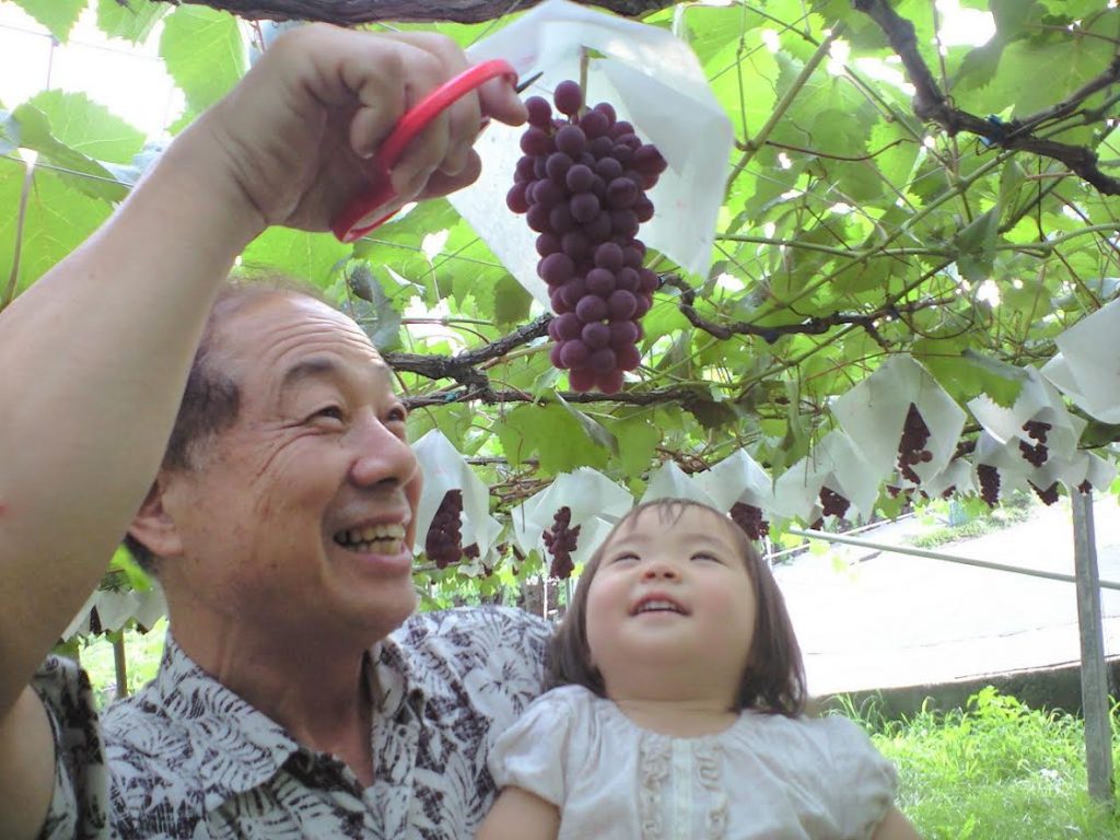 Yamanashi | Japan Fruits - Information on Fruit and Fruit Picking ...