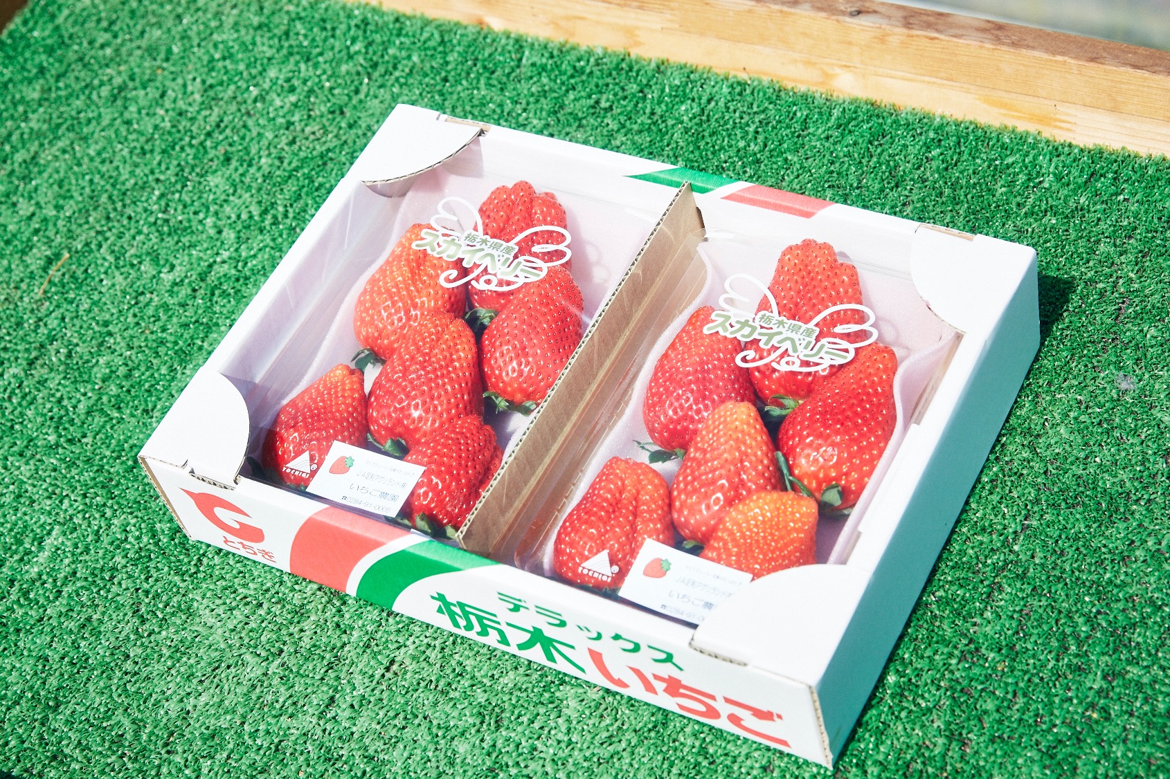 JA Ashikaga Agri-land | Japan Fruits - Information on Fruit and Fruit ...