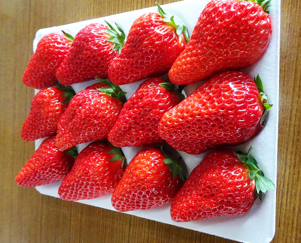 Chichibu Fruit Farm | Japan Fruits - Information on Fruit and Fruit ...