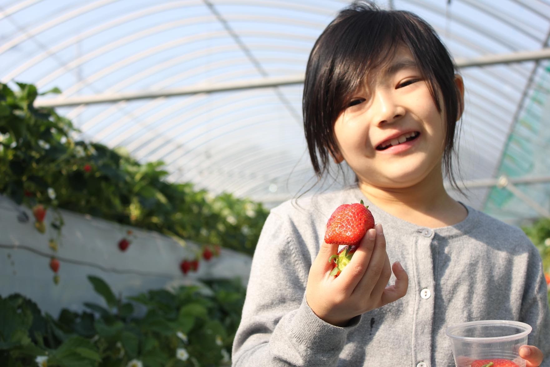 Yamandon Ukiha Fruit Farm Village | Japan Fruits - Information on Fruit ...