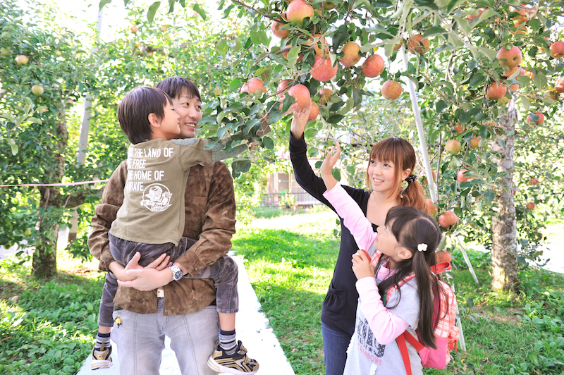 Kajitsu no Sato Harada Farm | Japan Fruits - Information on Fruit and ...