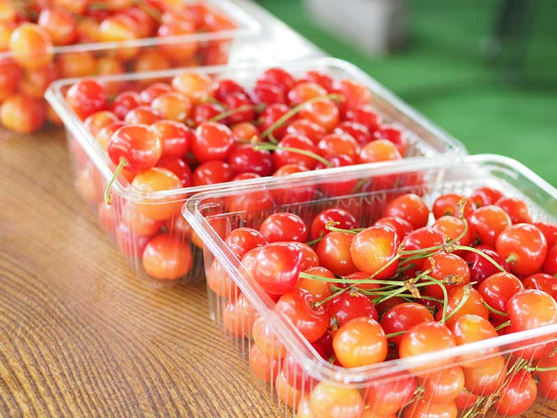 Saito Sightseeing Orchard | Japan Fruits - Information on Fruit and ...