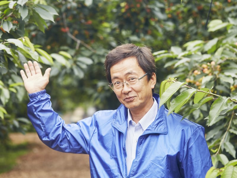 Japan Fruits - Information on Fruit and Fruit Picking Activities in Japan