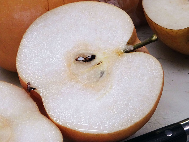 Harigi, Kochi – A Producer of Large and Delicious Niitaka Pears | Japan ...