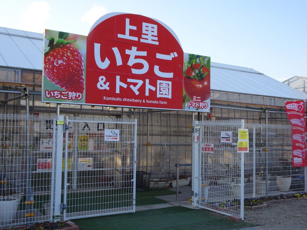 Farm FUMI | Japan Fruits - Information on Fruit and Fruit Picking ...