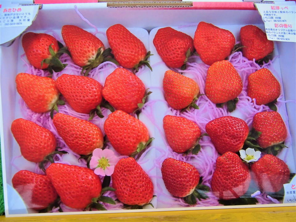 Strawberry Farmhouse (ichigo kobo) | Japan Fruits - Information on ...