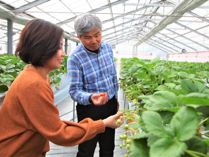 Experience Fruit Picking in Japan - Japan Fruits - Information on Fruit ...