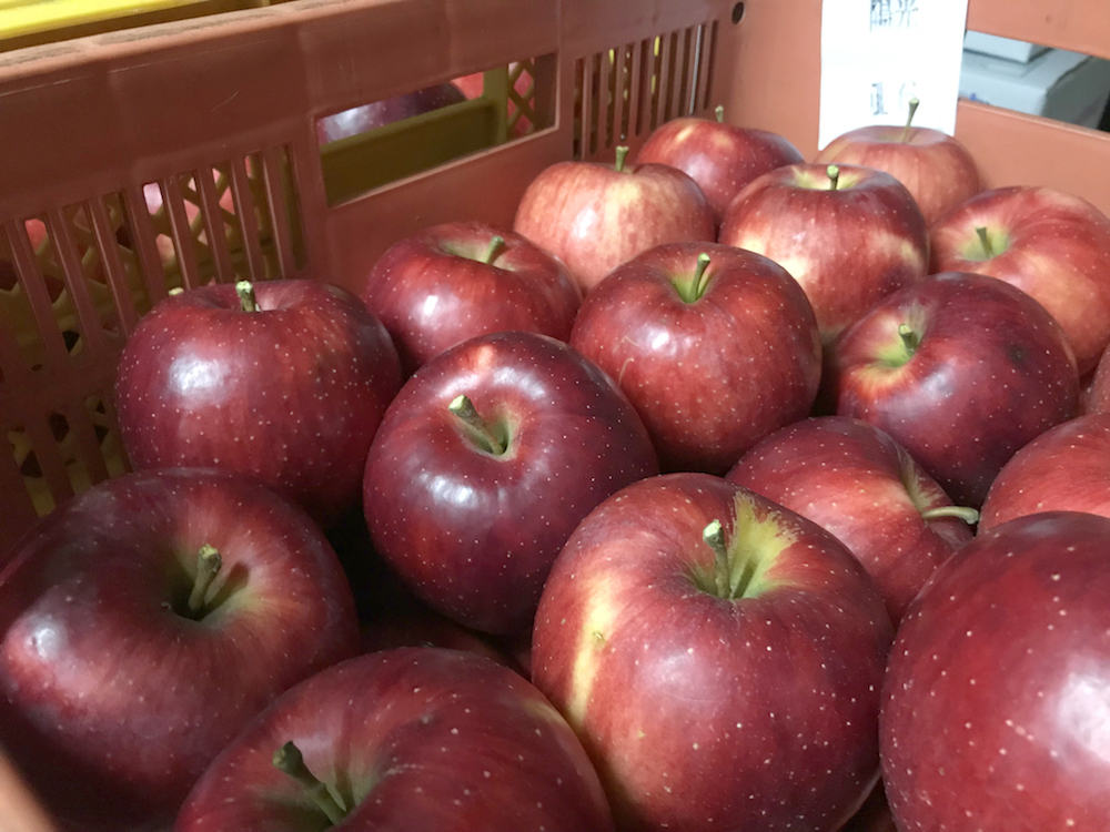 Ono’s Apple Orchard of the Mountain Pass | Japan Fruits - Information ...