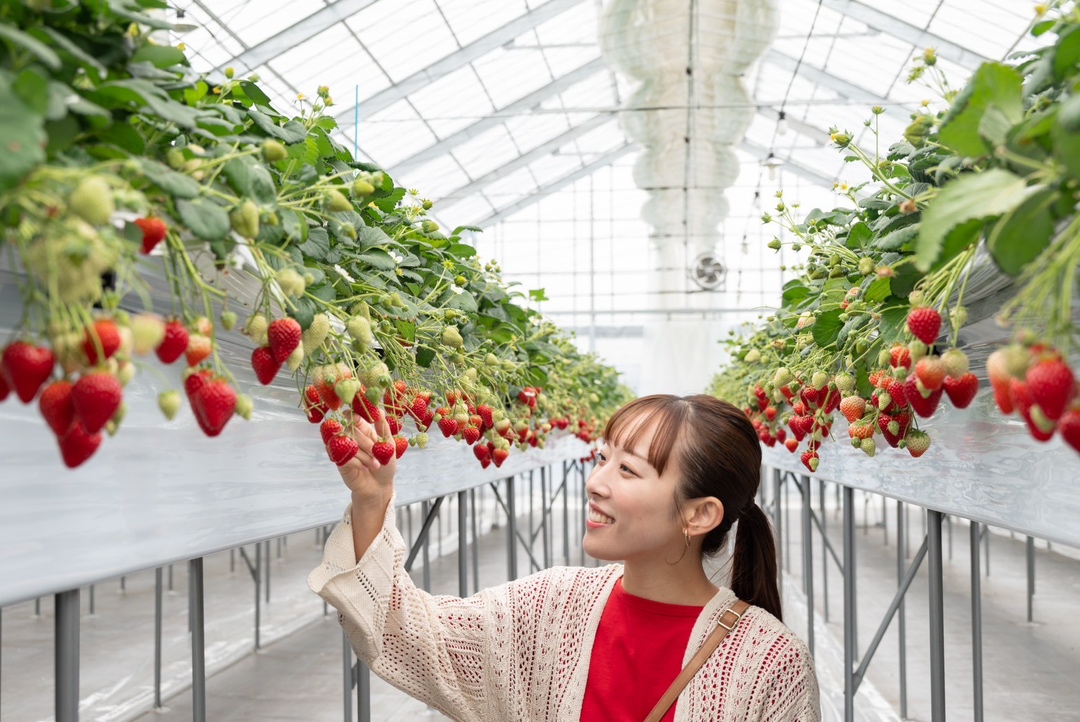 JR Fruits Park Sendai ARAHAMA | Japan Fruits - Information on Fruit and ...