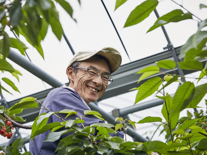 สวนผลไม้ฮามาดะเอ็น (Hamada-en) | Japan Fruits - เว็บไซต์ข้อมูลเกี่ยวกับ ...