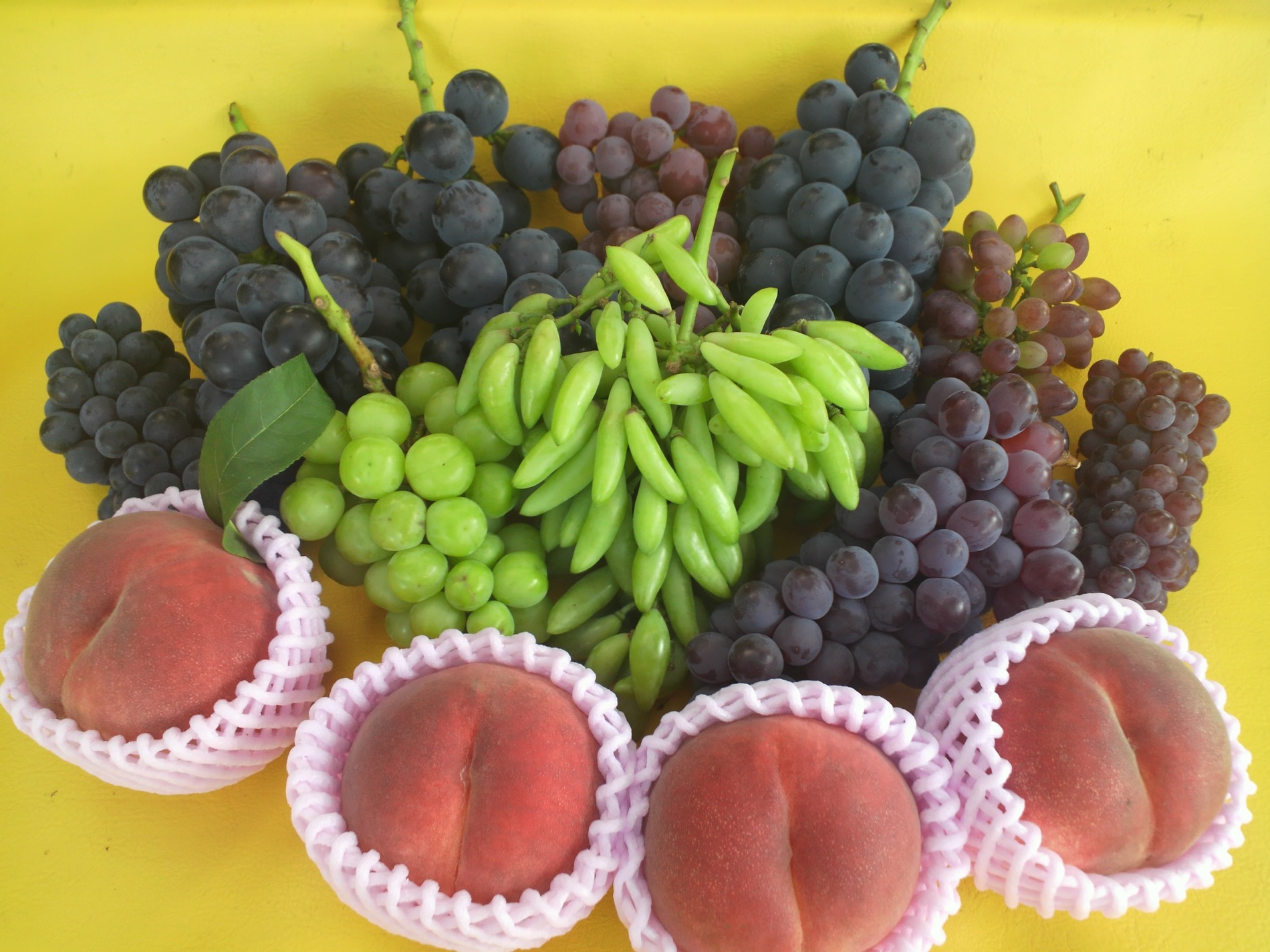 専果園 | Japan Fruits - 日本のフルーツ狩り・フルーツ情報サイト